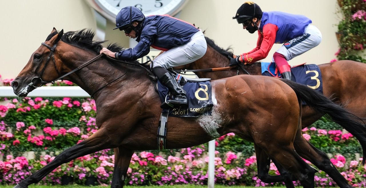 WATCH: Nicky Henderson Stable Tour 2022/23 – NOVICE HURDLERS - Unibet ...