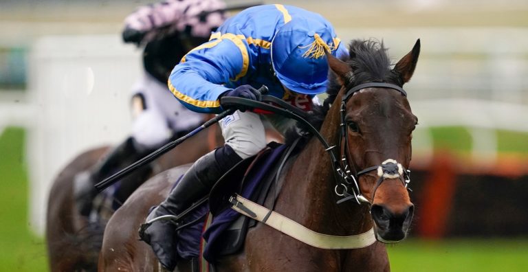 bear-header - Unibet Blog | UK