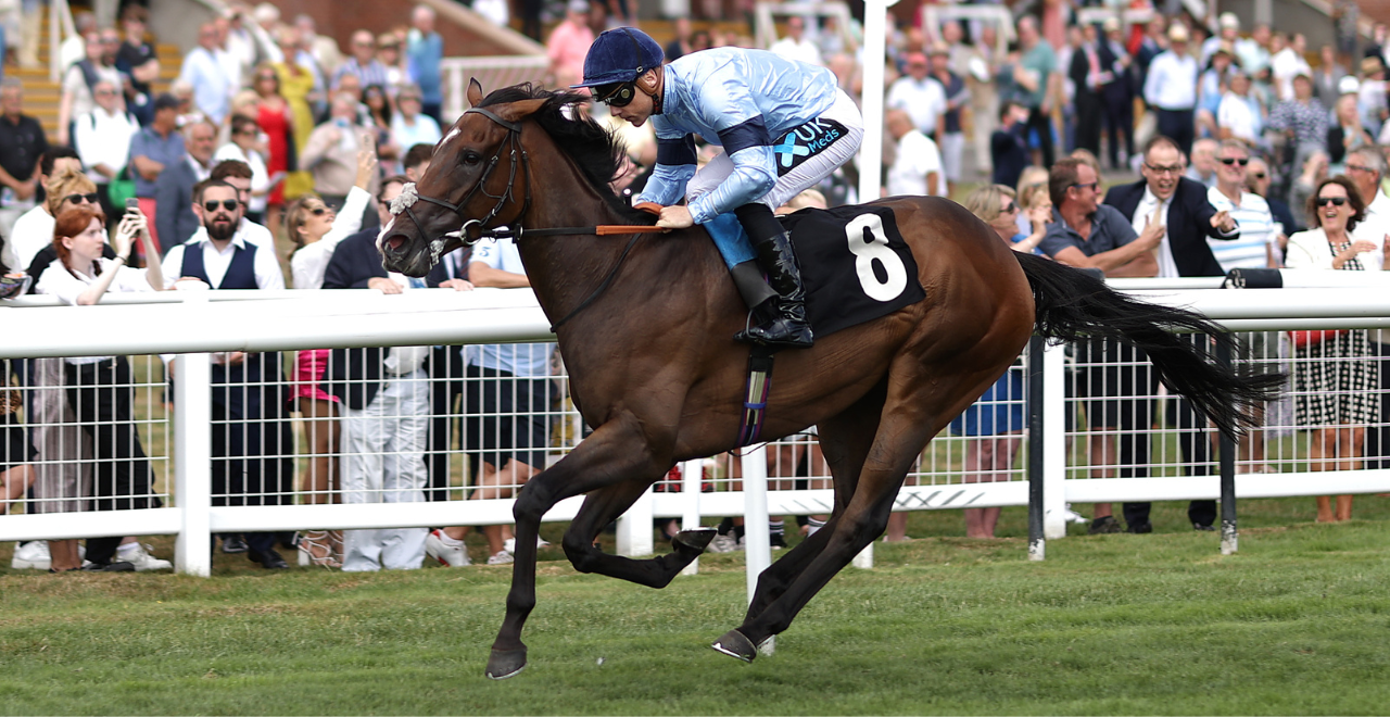 The Wine Tipster: "Atrium (nap) was a course and distance winner, has ...