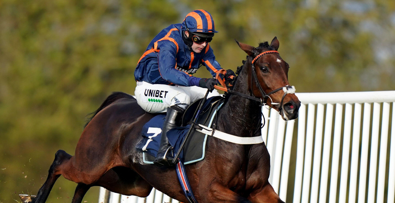 Nicky Henderson: " She has a chance in a wide open race...let’s hope ...