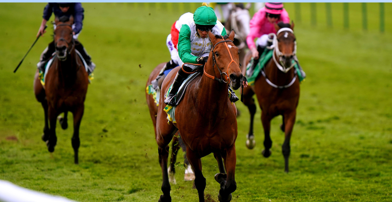 Richard Hannon: "He’s much more versatile ground-wise and comes here ...