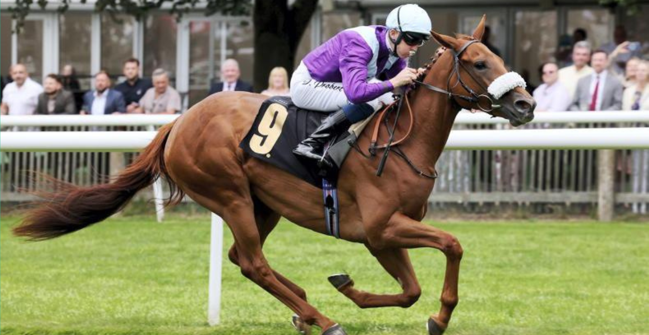 The Wine Tipster: "See The Fire (nap) has all the credentials to run a ...