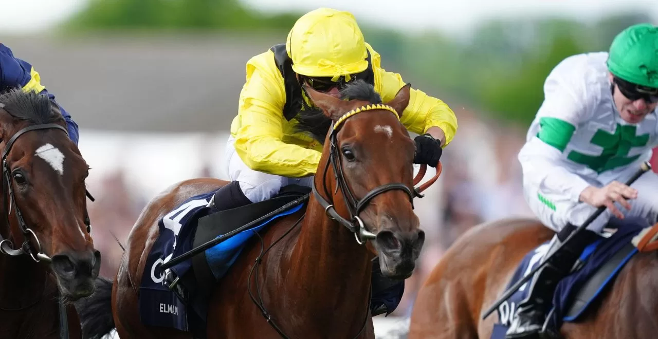 The Wine Tipster: "This even stiffer test should suit her well ...