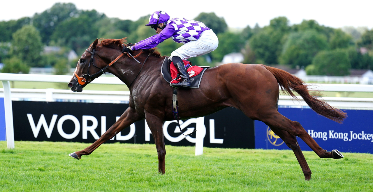 Richard Hannon: "It looks a good race, as it should be, but he’s ...