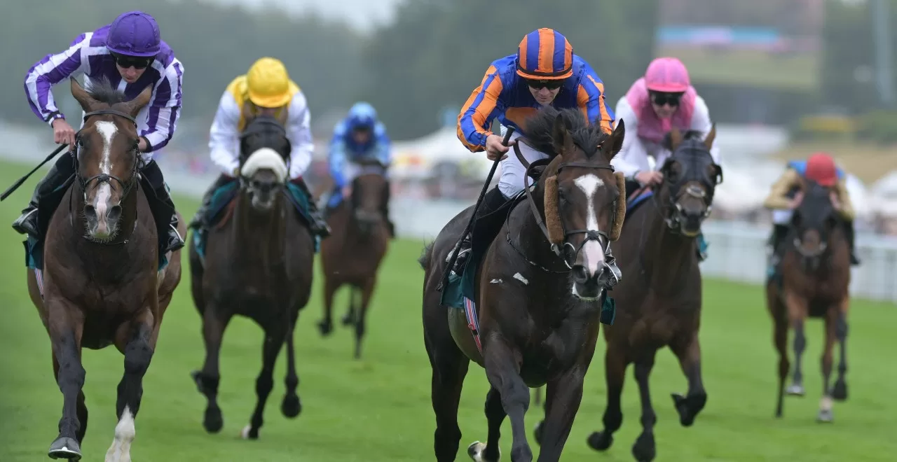 The Wine Tipster: "He has all the ability to run a good race if running ...